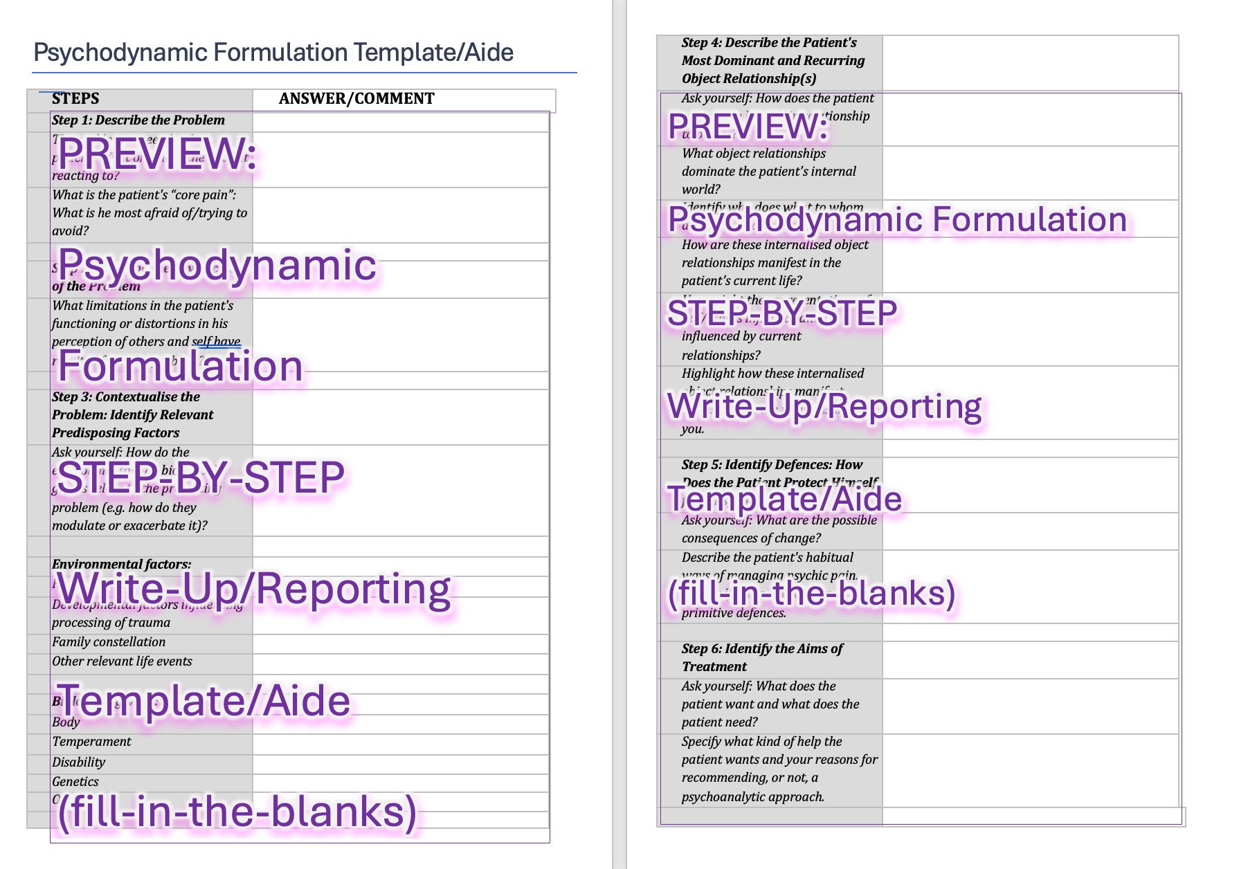 Psychodynamic Case Formulation Template / Aide Blankin - Etsy