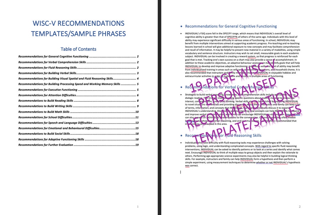 WISC-V Template PERSONALISED RECOMMENDATIONS (19-pages!) - Etsy