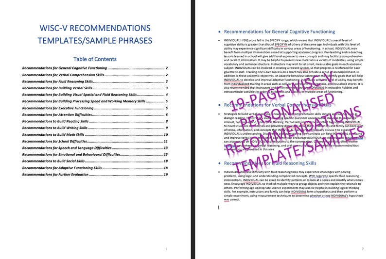 WISC-V Template PERSONALISED RECOMMENDATIONS (19-pages!) - Etsy