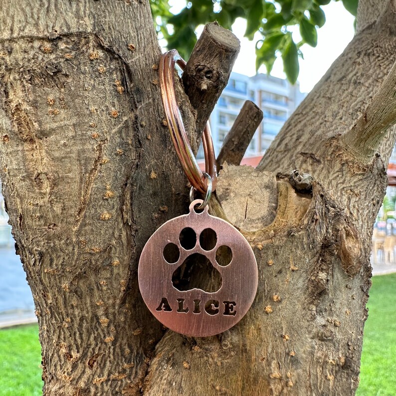 Personalized Pet Paw Print Keychain: Custom Cat/dog Name Tag, Stainless ...