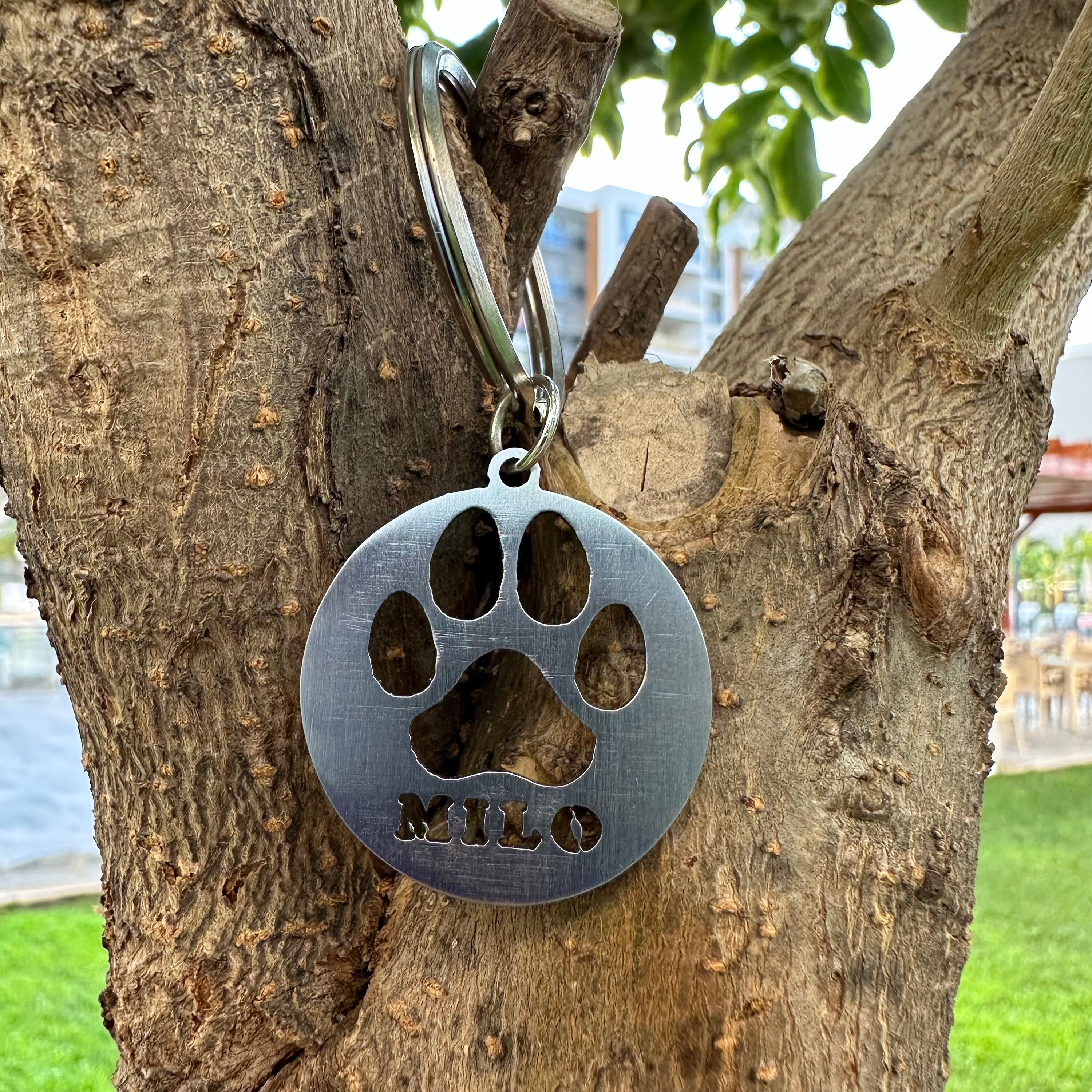 Personalized Pet Paw Print Keychain: Custom Cat/dog Name Tag, Stainless ...