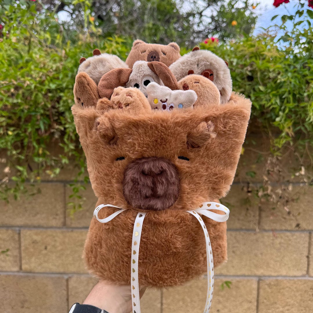 Capybara Plush Bouquet: Kawaii Stuffed Animal Flower Alternative - Etsy