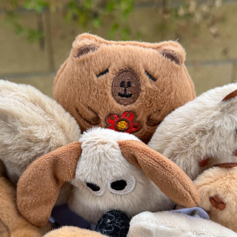Capybara Plush Bouquet: Kawaii Stuffed Animal Flower Alternative - Etsy
