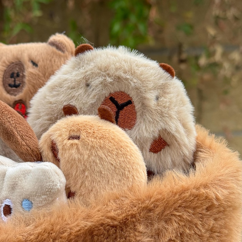Capybara Plush Bouquet: Kawaii Stuffed Animal Flower Alternative - Etsy