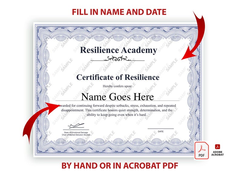 Certificate of Resilience | Encouragement Gift Certificate | Editable ...