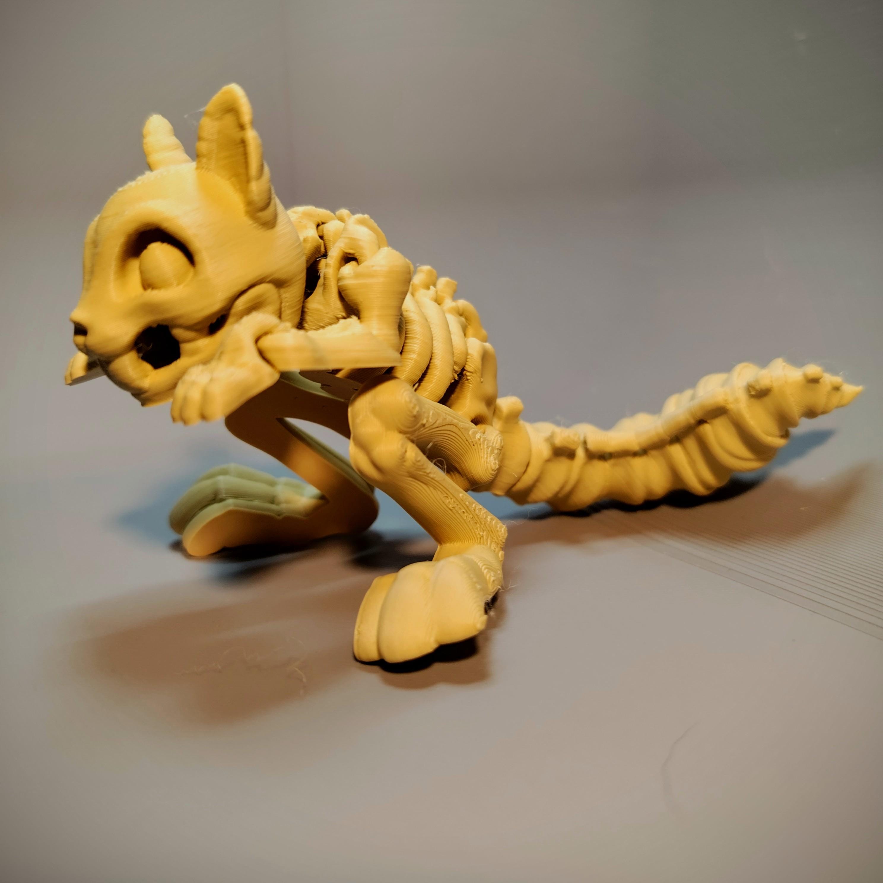 Articulated Squirrel Skeleton - Etsy