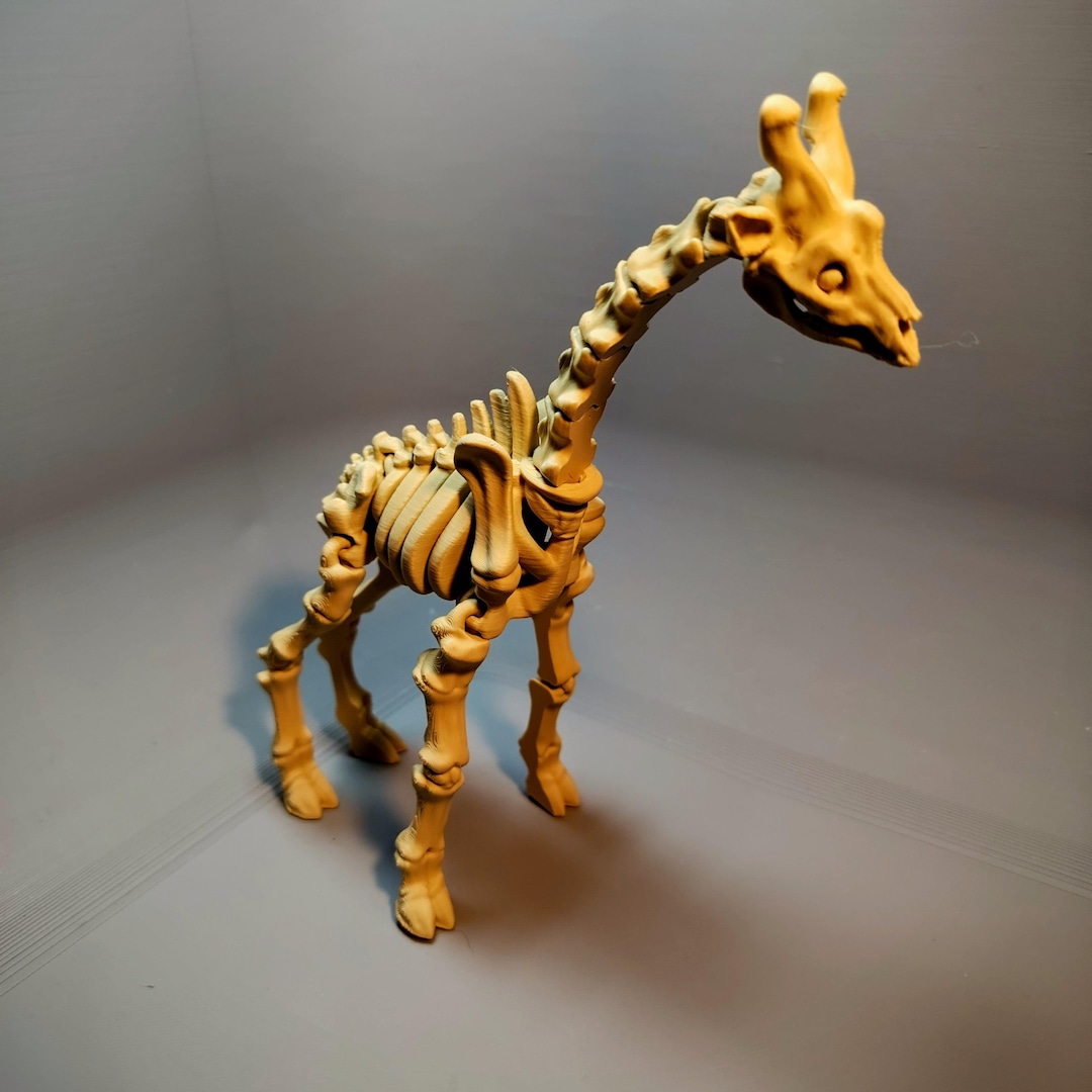 Articulated Giraffe Skeleton - Etsy