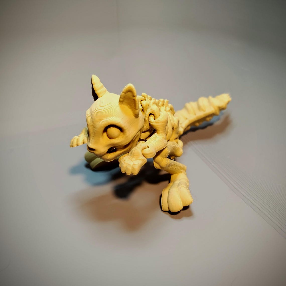 Articulated Squirrel Skeleton - Etsy