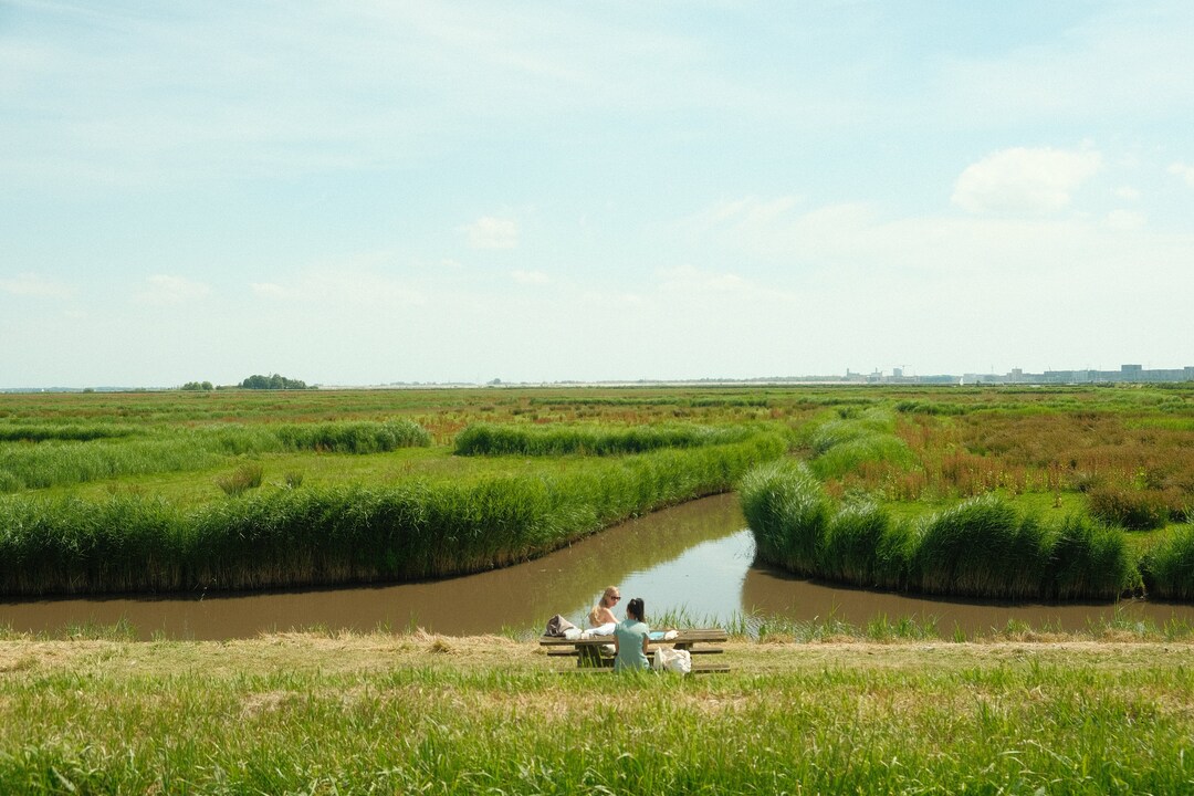 Dutch Picnic - Original Photo Print, 11x14in. Limited Release - 1/19 - Etsy