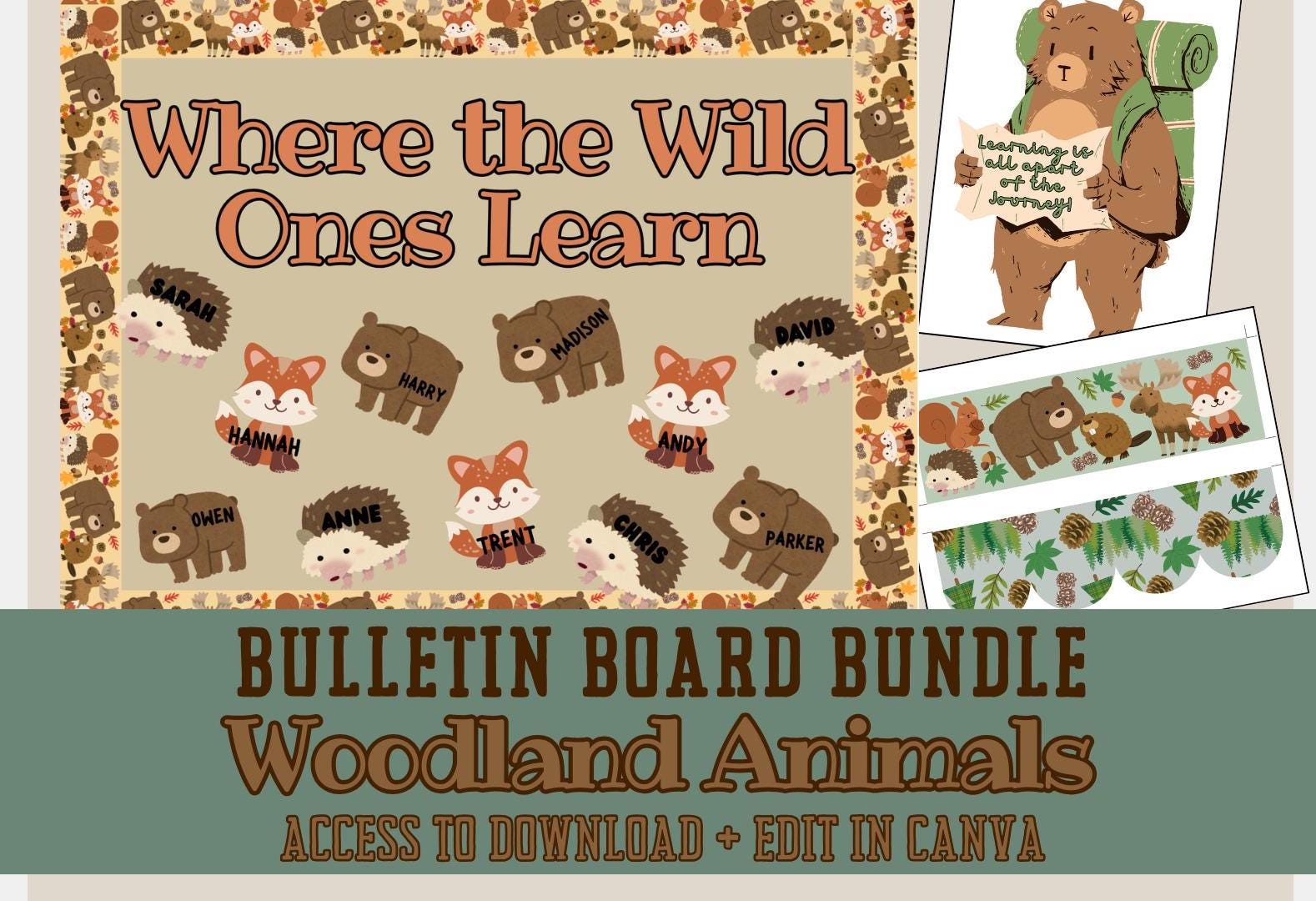 Woodland Animals Bulletin Board Bundle | Camping Nature Outdoor Theme ...
