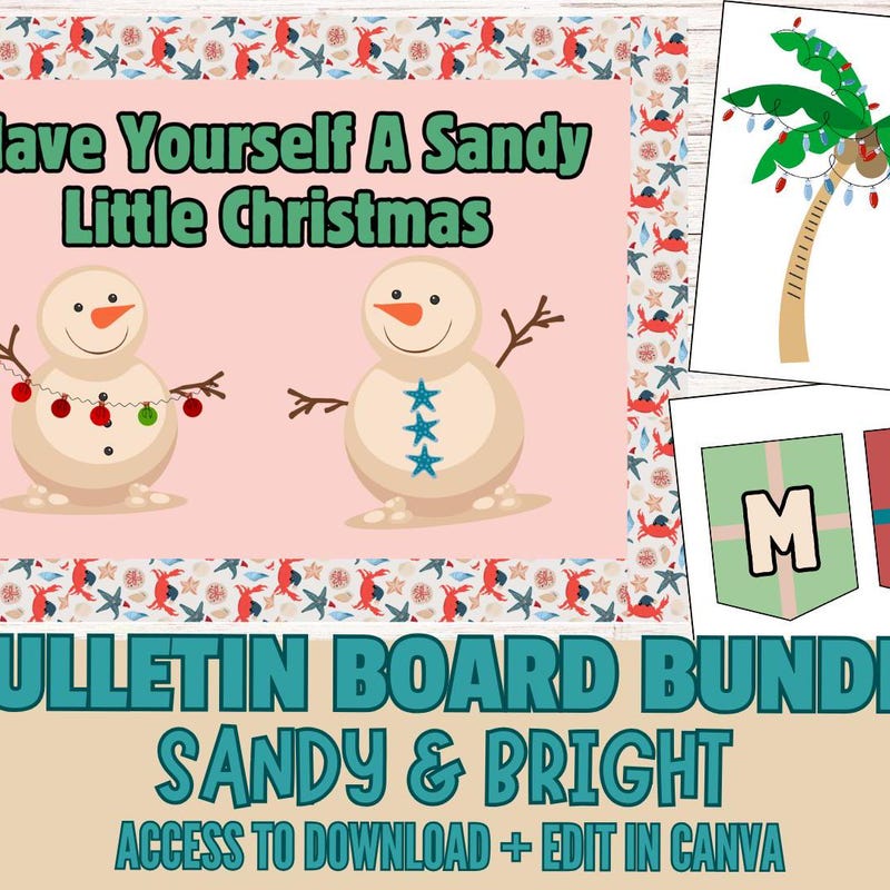 Beach Teacher Resources - Etsy