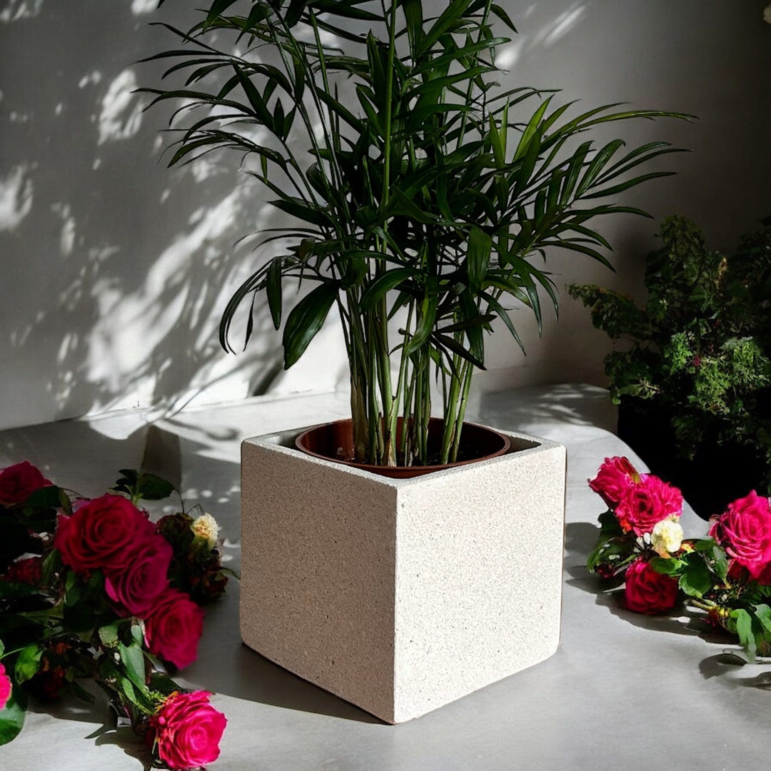 Modern Concrete Cube Plant Pot for Plants, Cacti & Succulents ...