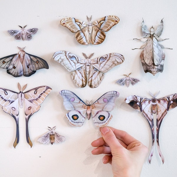 Paper Butterflies - Etsy