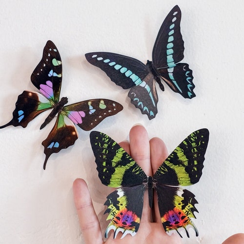 Realistic Paper Butterfly Double-sided Laser Cut Craft Cutouts - Etsy