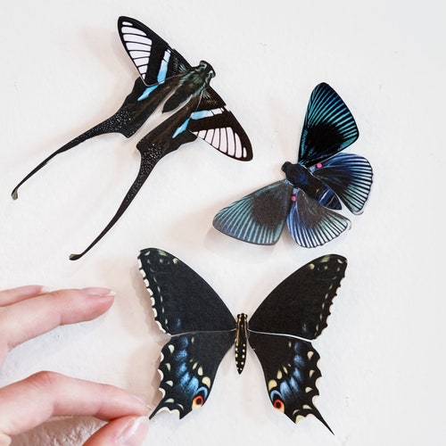 Realistic Paper Butterflies Double-sided Butterfly Paper-cut - Etsy