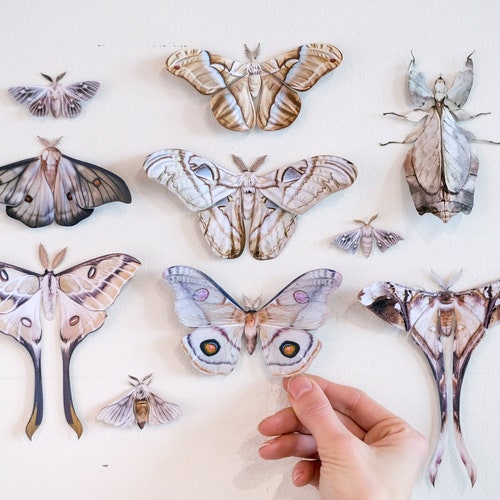 Realistic Paper Butterflies Double-sided Butterfly Paper-cut - Etsy