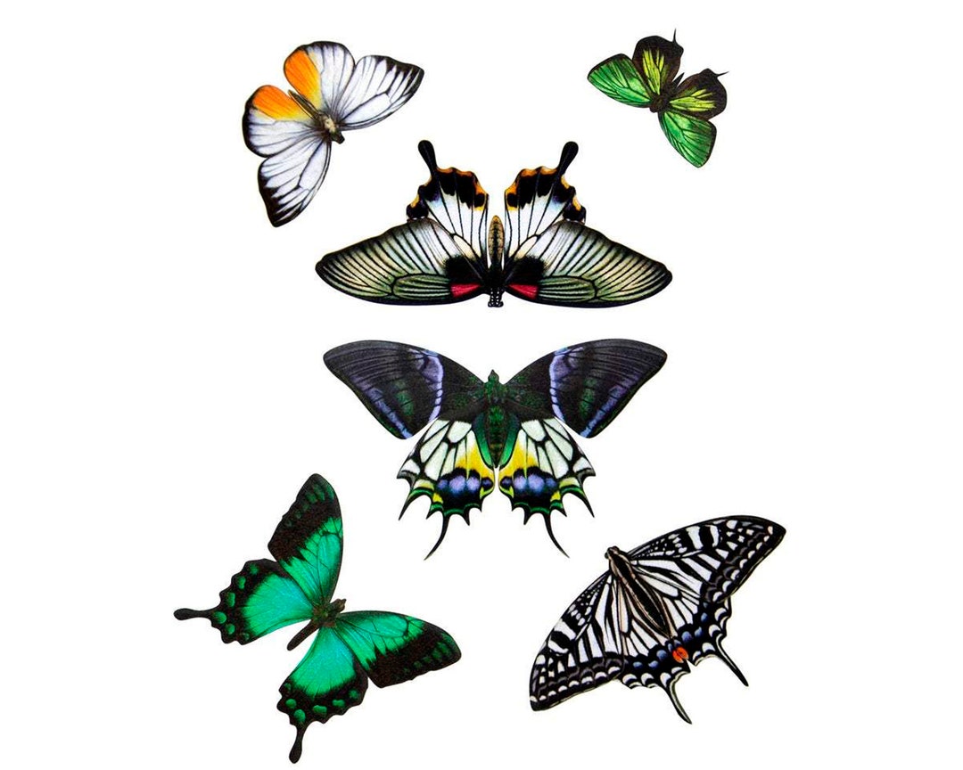 Realistic Paper Butterflies, Double-sided, Butterfly Paper-cut Craft ...
