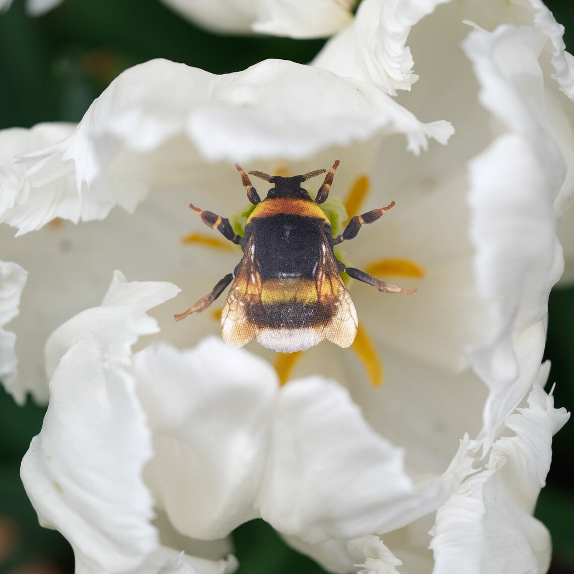 Realistic Paper Bees Double-sided Honeybee Paper-cut Craft - Etsy