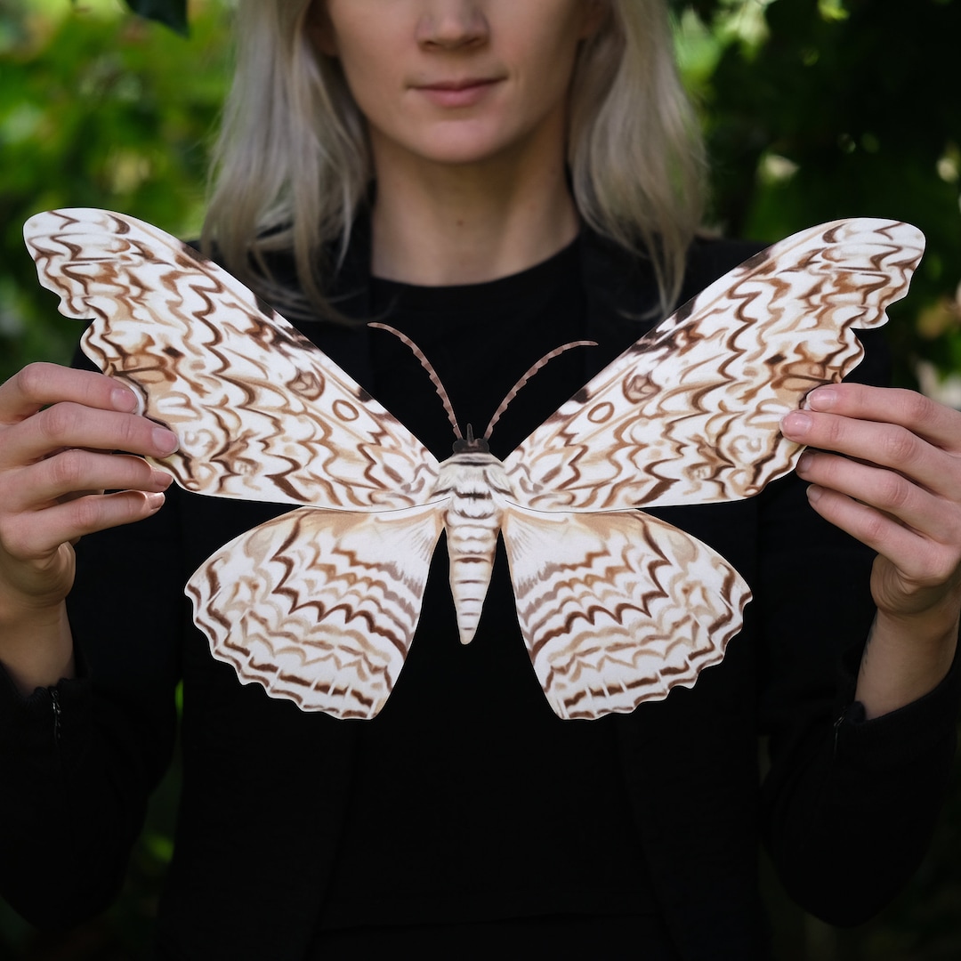 Giant Paper Witch Moth, Realistic Double-sided Butterfly Paper-cut ...