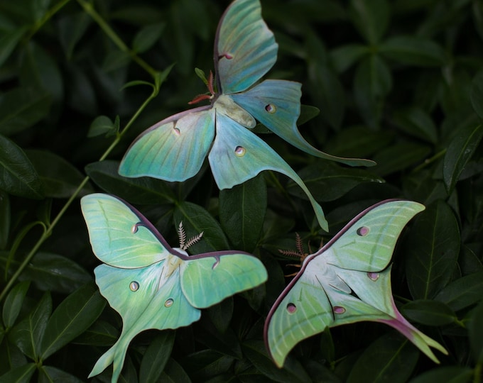 Realistic Paper Luna Moth, Double-sided, Faux Butterfly Papercut Craft ...
