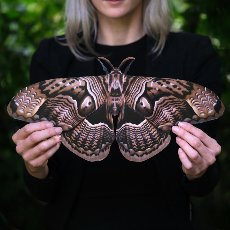 Moth Sculpture - Etsy