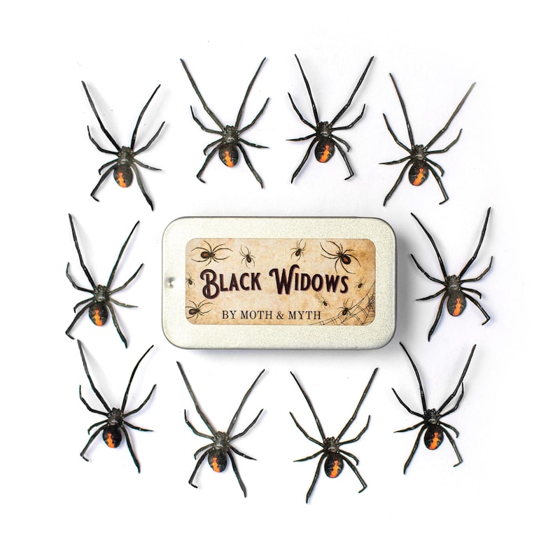 Realistic Fake Spider - Etsy