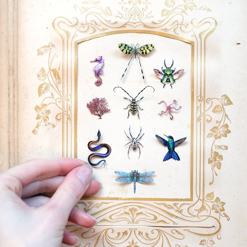 Tiny Paper Creatures Insects and Marine Life, Realistic Double-sided ...