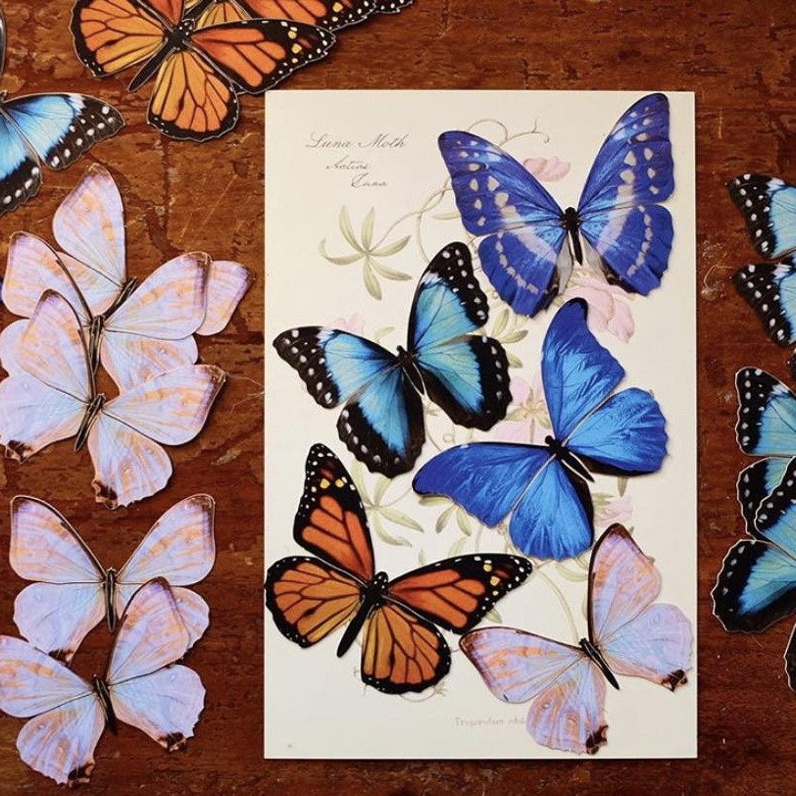 Realistic Paper Butterflies Double-sided Butterfly Paper-cut | Etsy