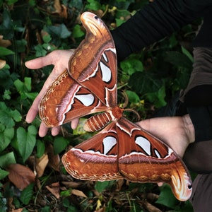 Giant Paper Atlas Moth for Halloween, Double-sided Butterfly Paper-cut ...