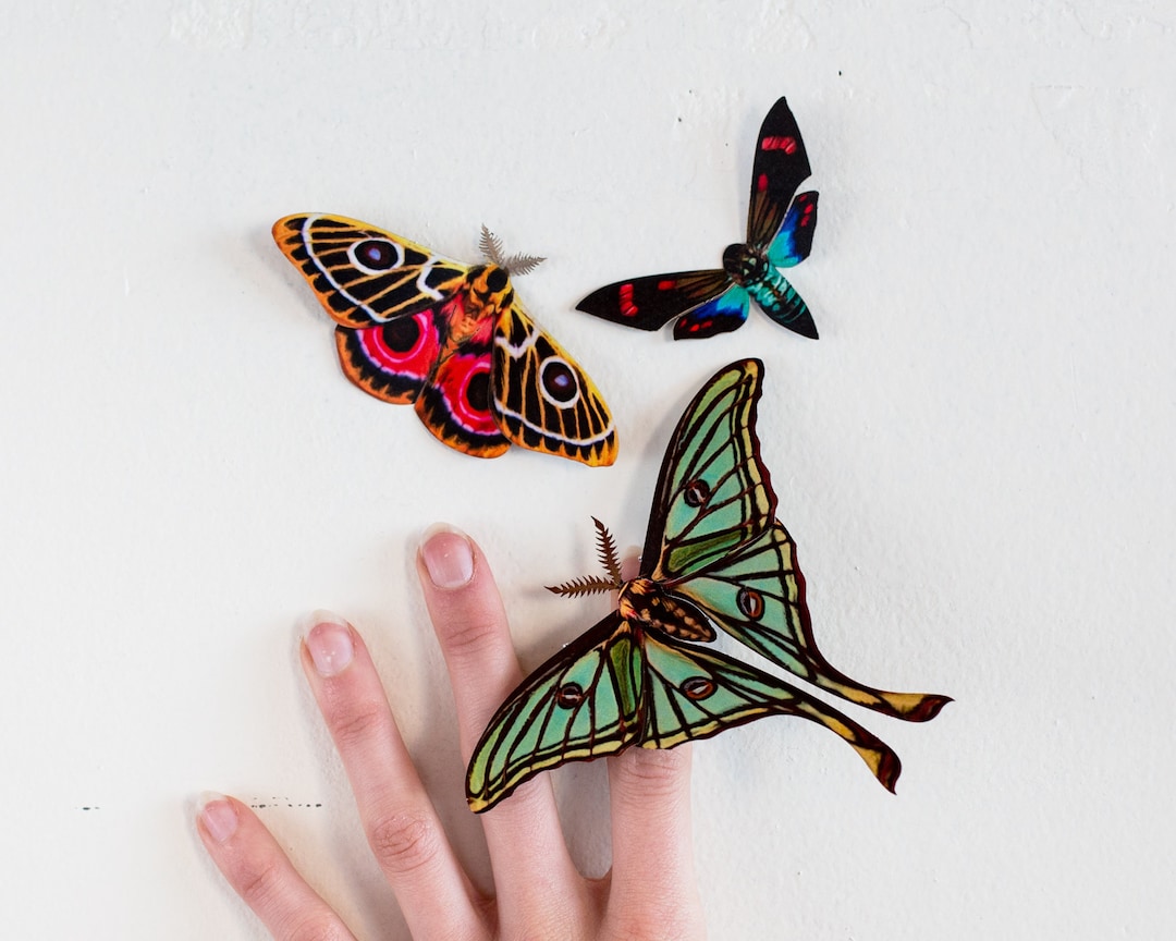 Art Deco Realistic Paper Moths, Double-sided, Faux Butterfly Paper-cut ...