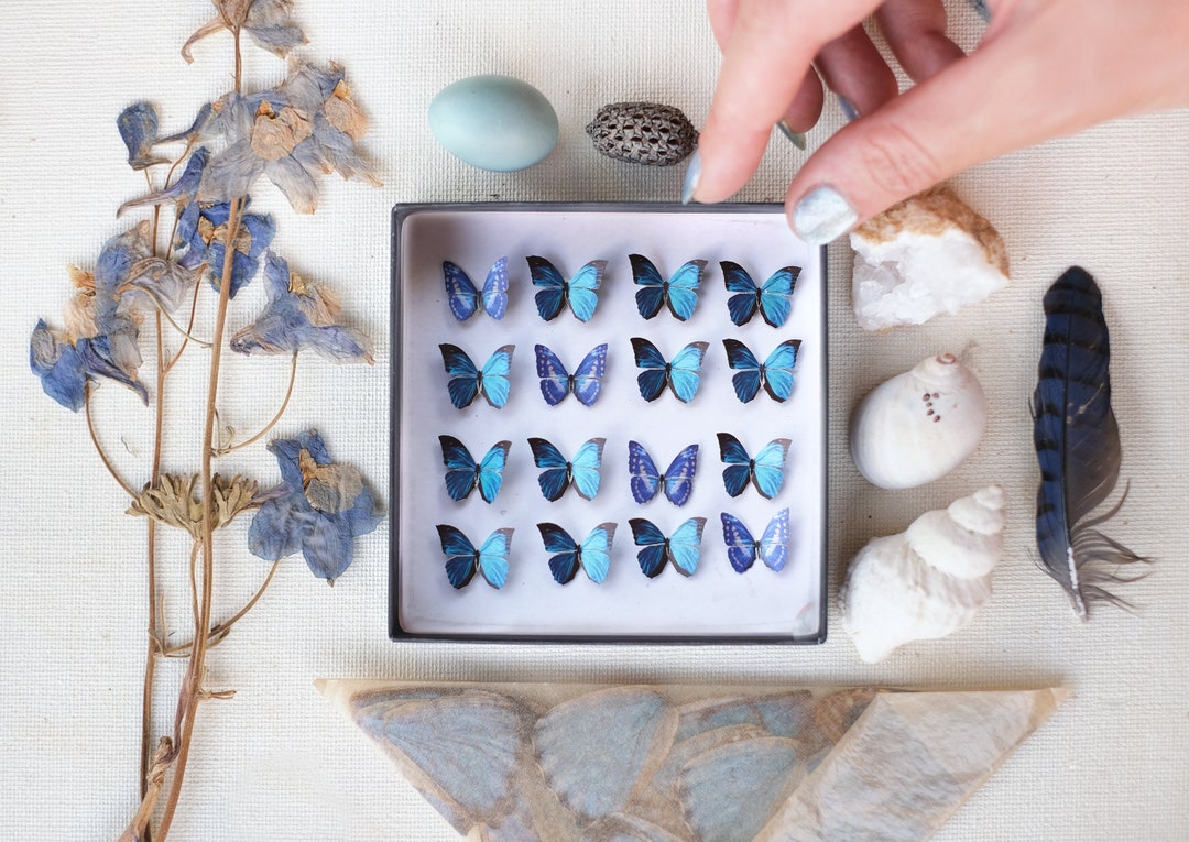 17x Realistic Micro Paper Morpho Butterfly, Double-sided, Tiny Paper ...