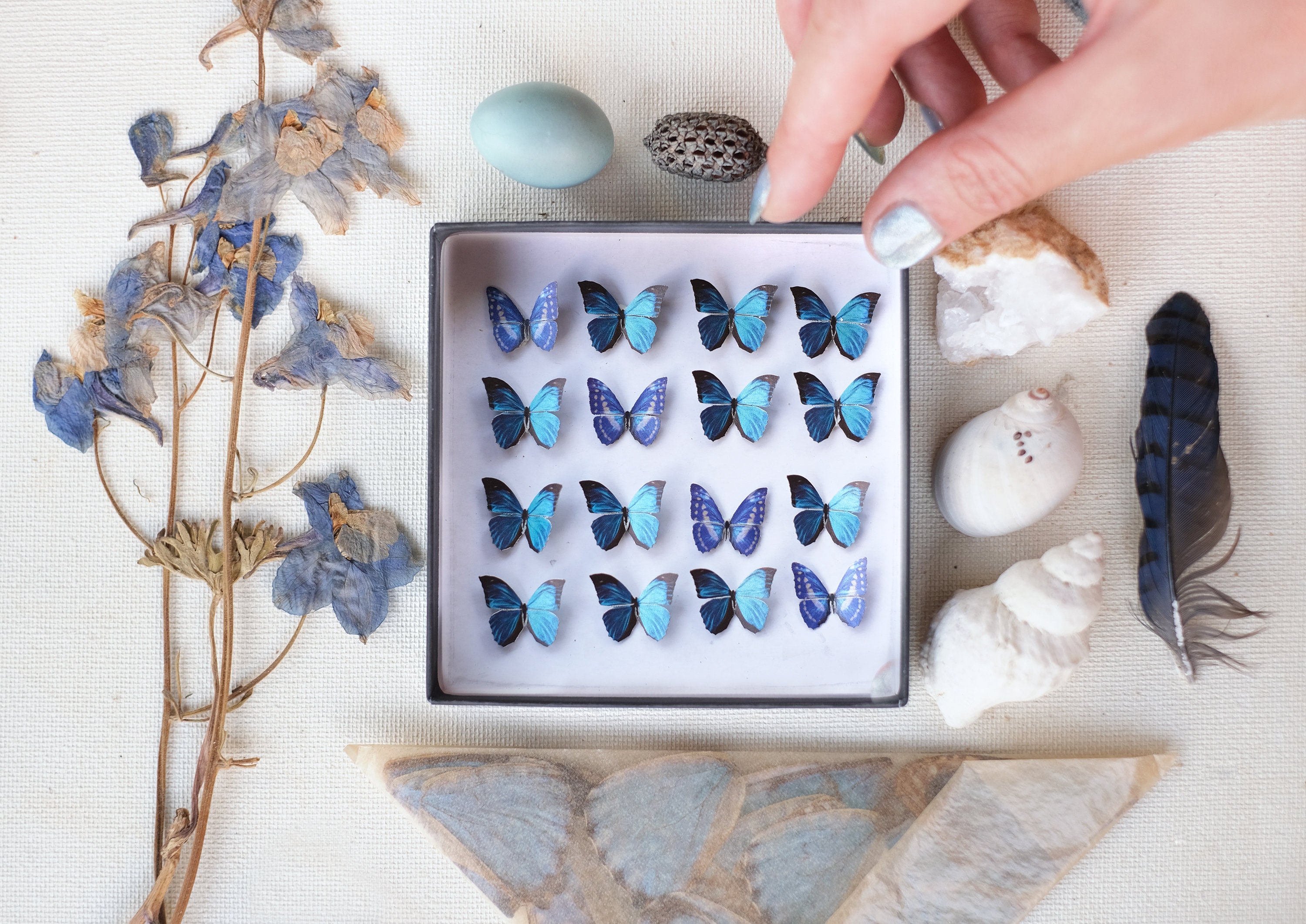 17x Realistic Micro Paper Morpho Butterfly Double-sided Tiny - Etsy