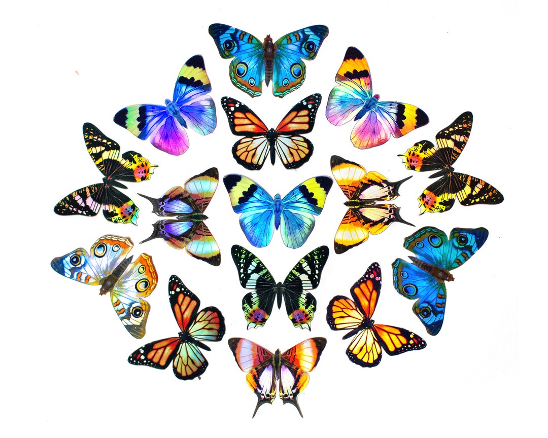 Holographic Mini Butterfly Sticker Vinyl Decal Set - Etsy