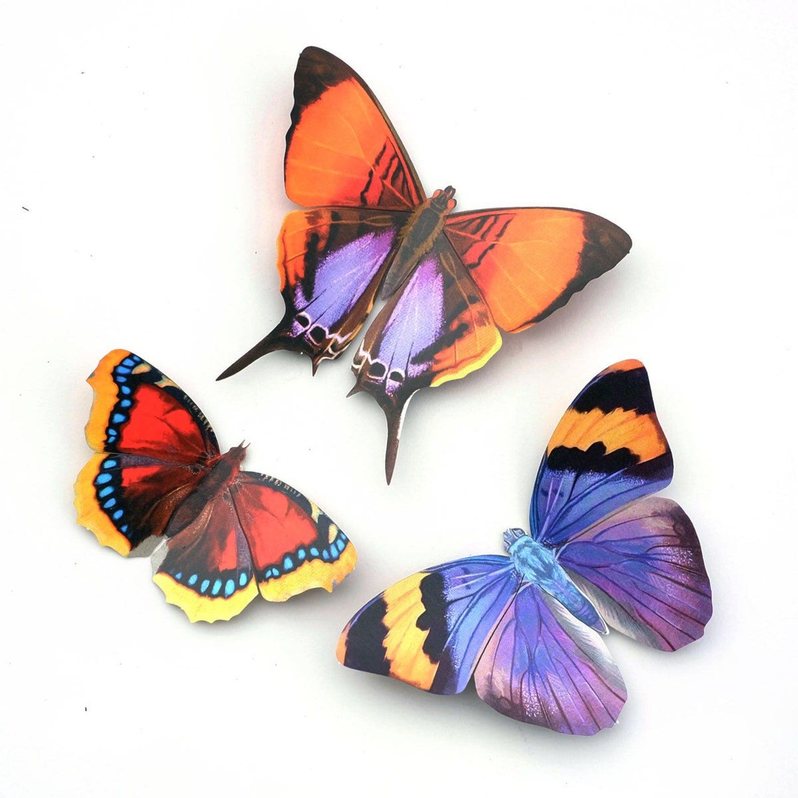 Realistic Paper Butterfly Double-sided Butterfly Craft | Etsy