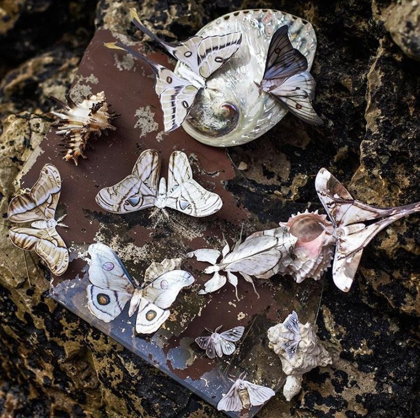 Realistic Paper Butterflies Double-sided Butterfly Paper-cut - Etsy