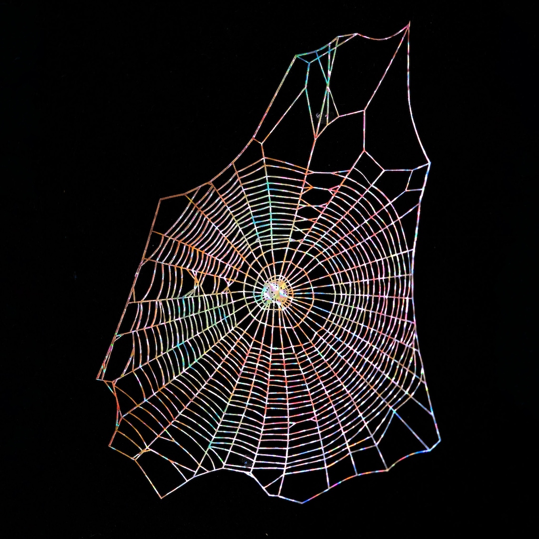 Realistic Holographic Spiderweb for Halloween, Paper-cut Craft Cutouts ...