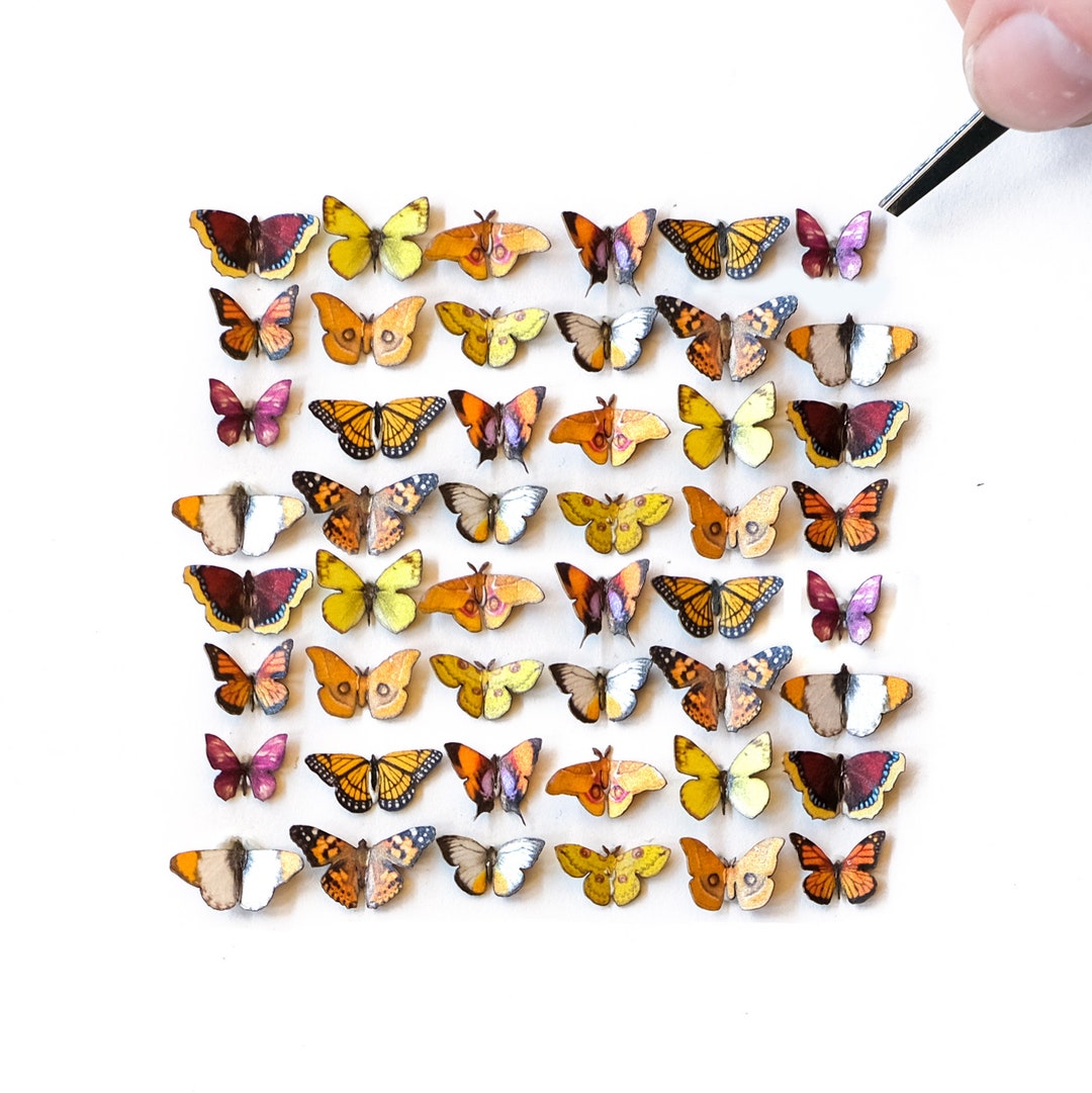 48 Teeny Tiny Paper Butterflies, Double-sided Craft Cutouts, 'sunbeam ...