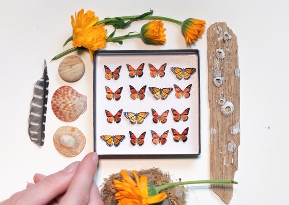 17x Realistic Micro Paper Monarch Double-sided Tiny Paper | Etsy