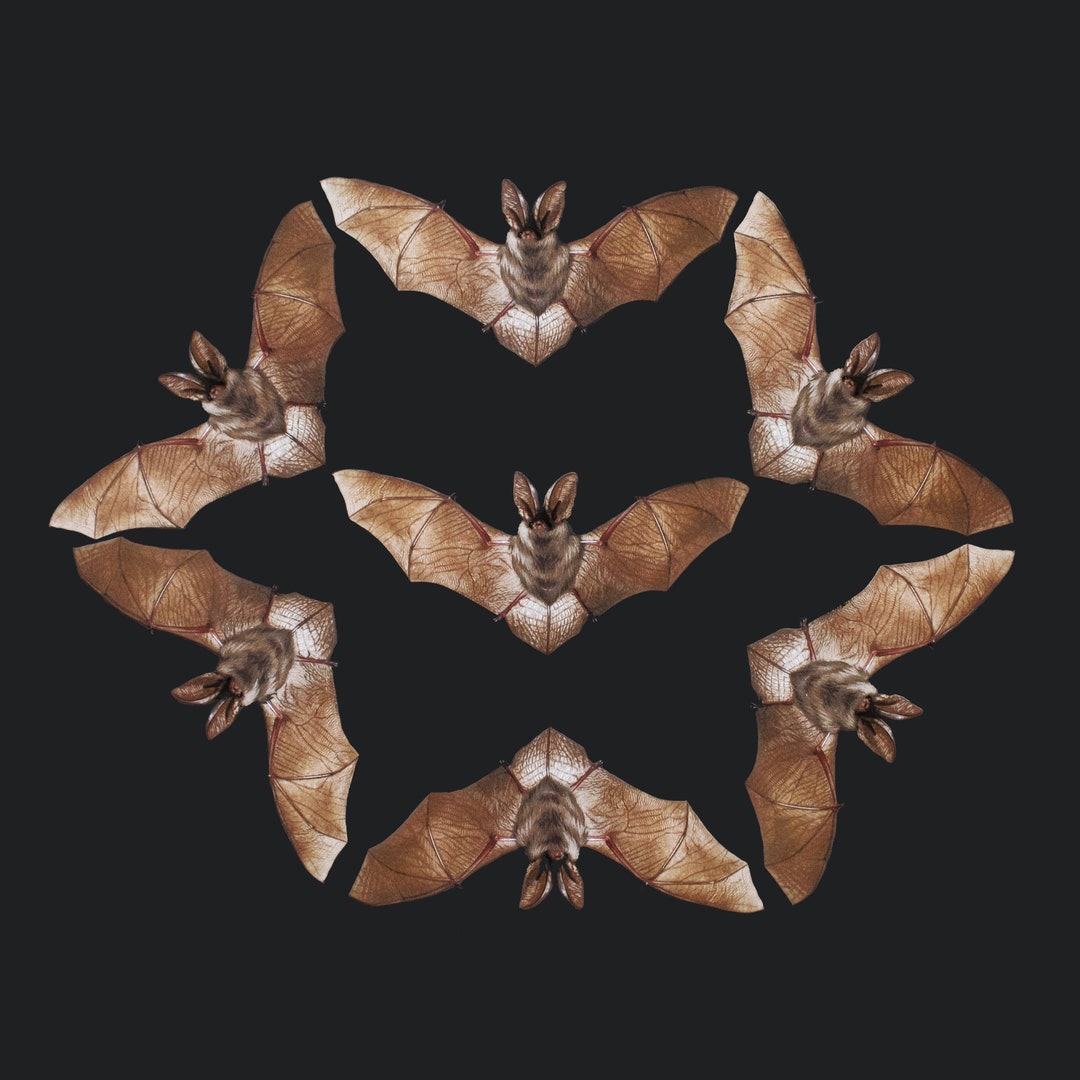 Realistic Paper Bats for Halloween, Double-sided Paper-cut Craft ...