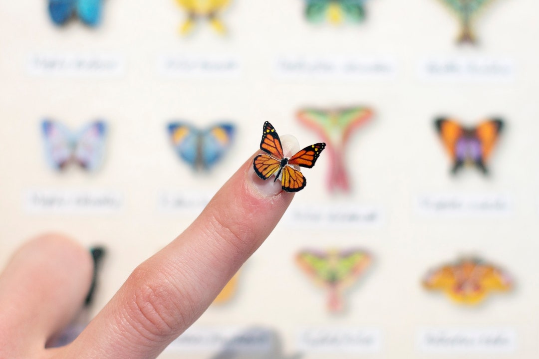 15 Tiny Paper Butterflies, Realistic Double-sided Print Cutouts ...