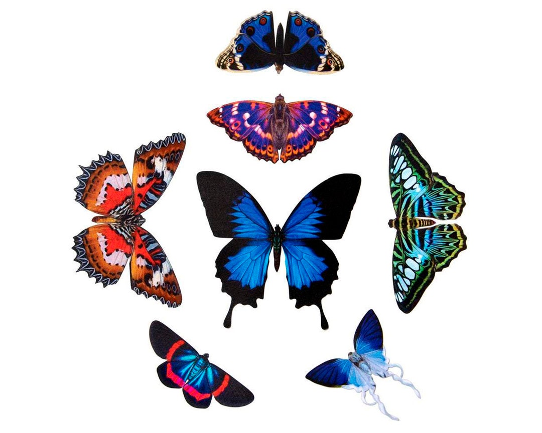 Realistic Paper Butterflies, Double-sided, Faux Butterfly, Paper-cut ...