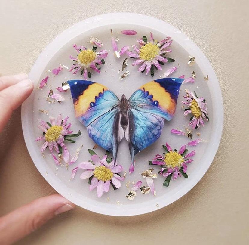 Realistic Paper Butterflies, Colorful Faux Butterfly Cutouts, 'dawn ...
