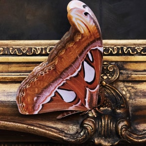 Realistic Paper Atlas Moth, Life-sized, Double-sided Paper-cut Craft - Etsy