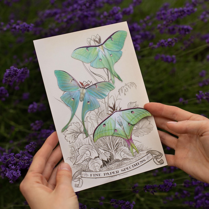 Realistic Paper Luna Moth, Double-sided, Faux Butterfly Papercut Craft ...
