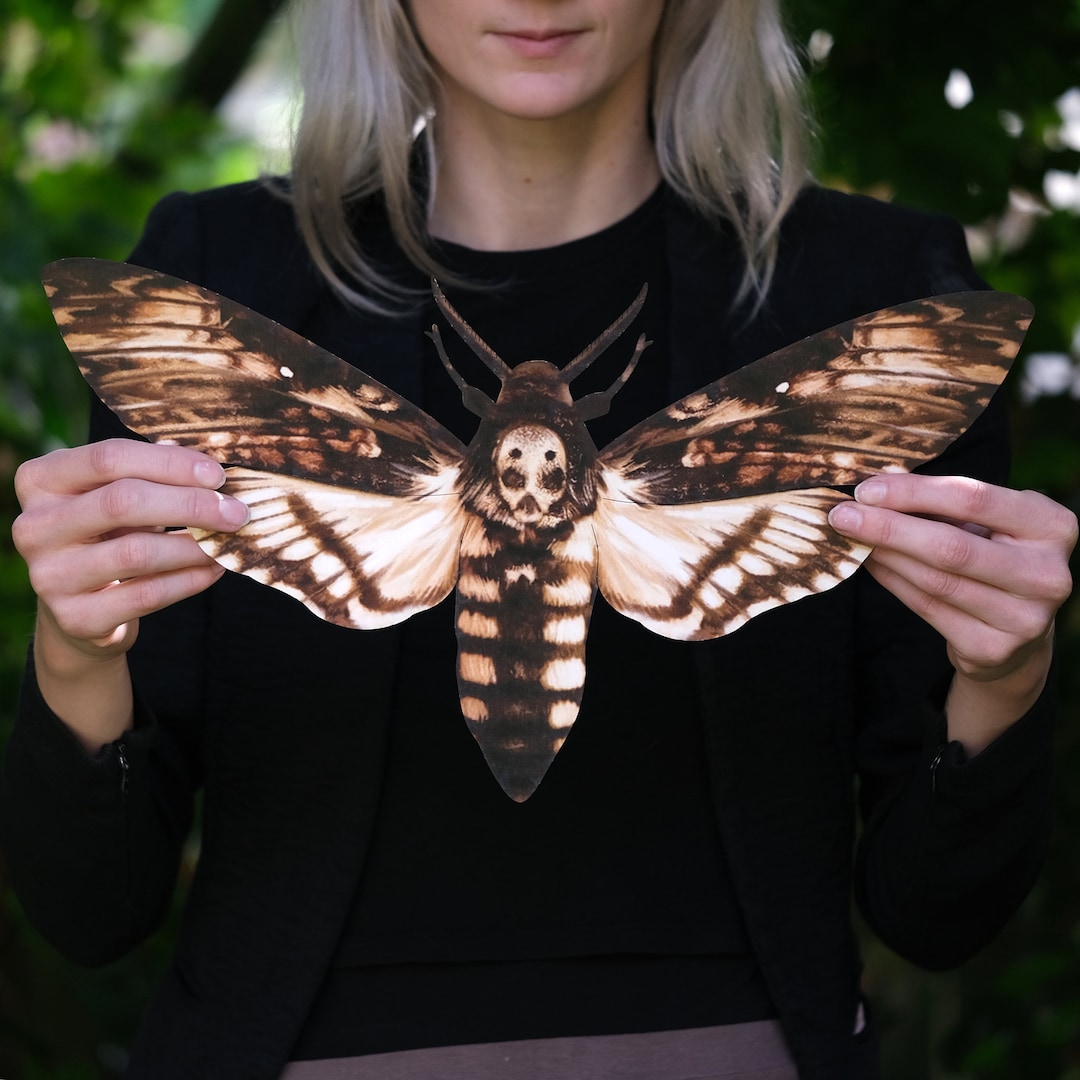 Giant Paper Moth Deathhead Moth, Realistic Double-sided Paper-cut Craft ...