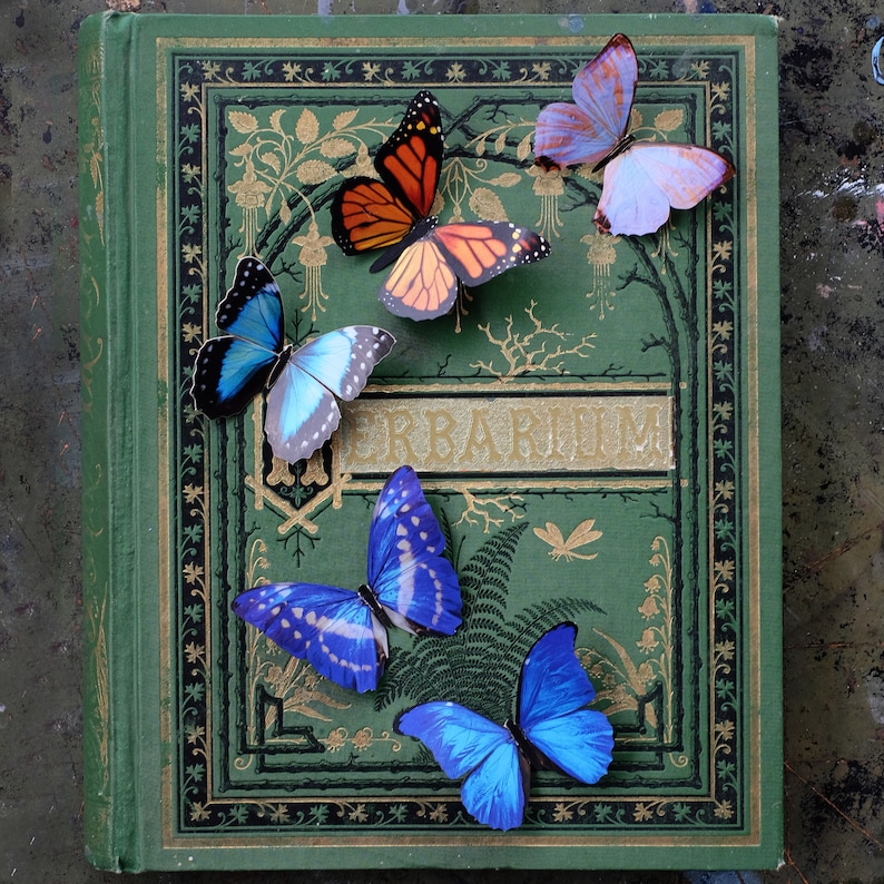 Realistic Paper Butterflies Double-sided Butterfly Craft | Etsy Canada