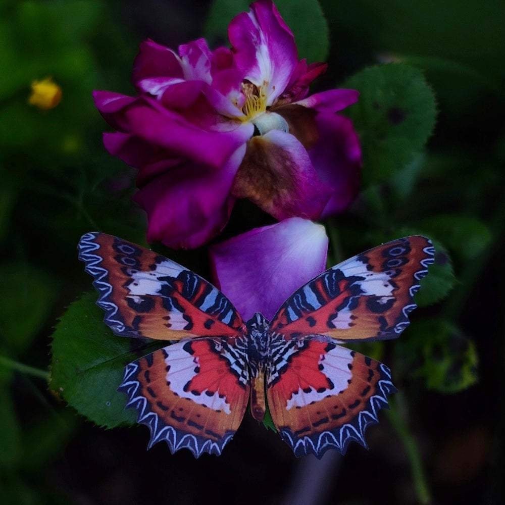 Realistic Paper Butterflies Double-sided Faux Butterfly - Etsy