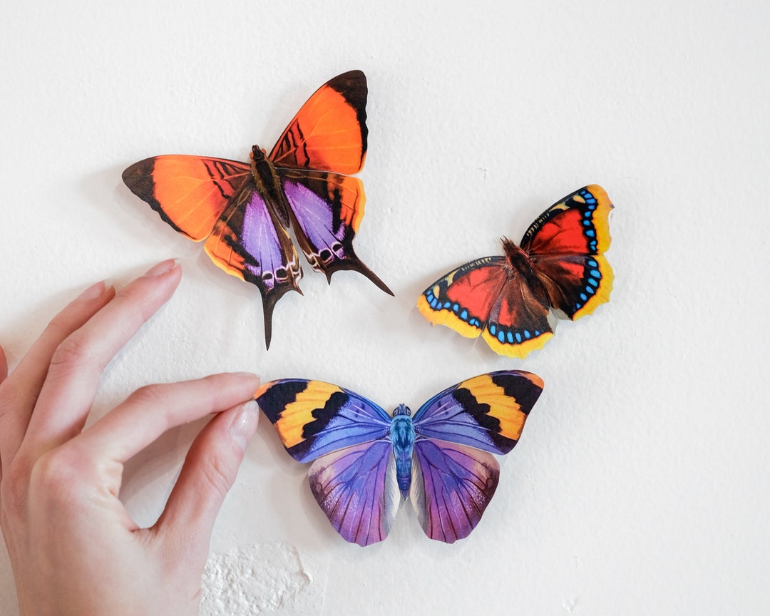 Realistic Paper Butterfly, Double-sided, Butterfly Craft Cutouts ...