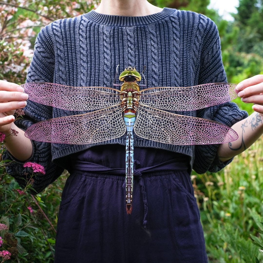 Realistic Giant Paper Dragonfly, Double-sided Lasercut Craft - 16.5" - Etsy