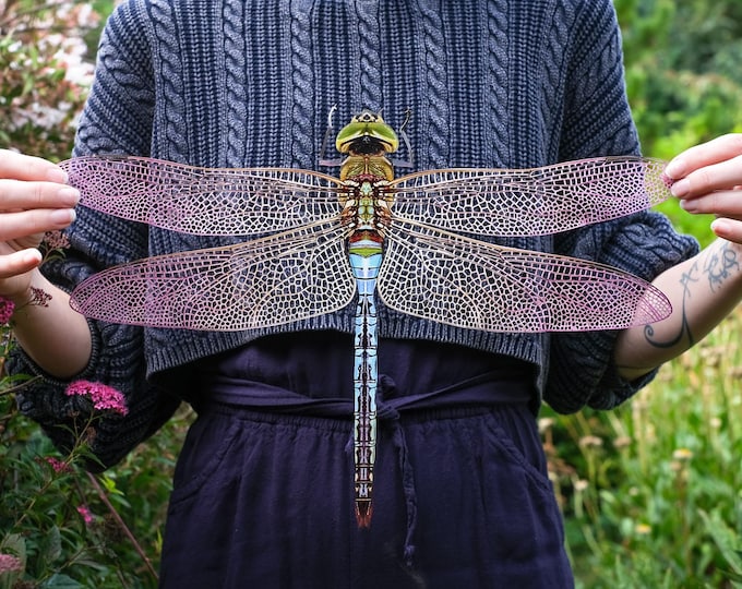 BLUE PLASTIC DRAGONFLIES Blue Dragon Butterfly Wings - Fairy Unicorn ...